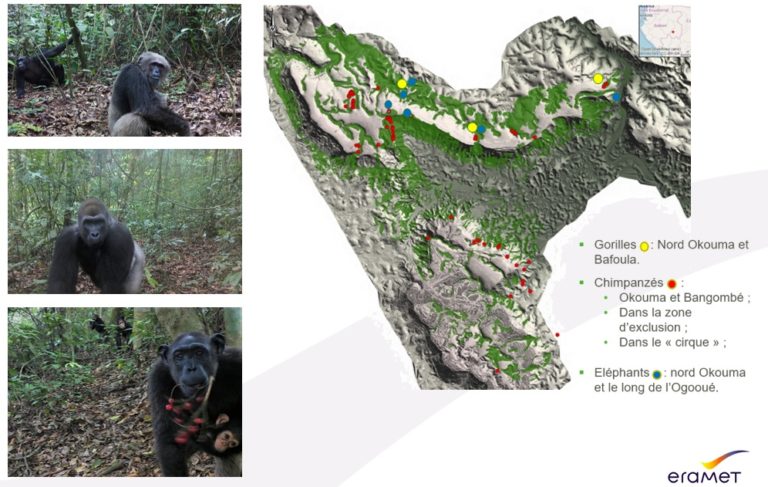 Projet d’extension de la mine de Moanda : Une nouvelle impulsion – Comilog